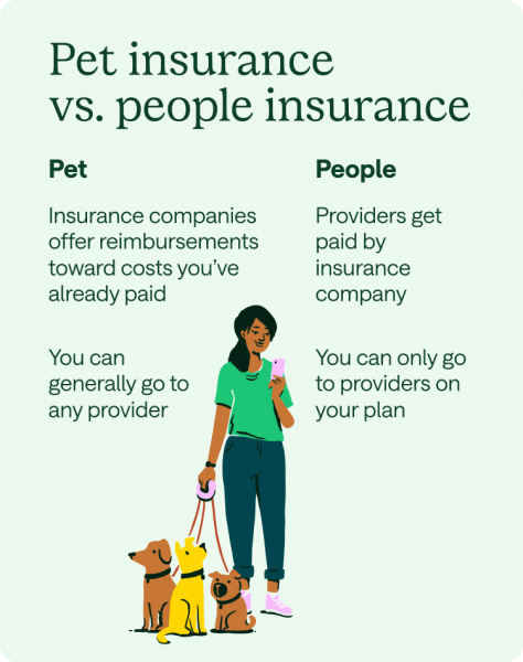 Is Pet Insurance Worth It? – Chime